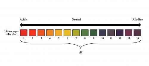 What Is Sulfuric Acid? | The Chemistry Blog