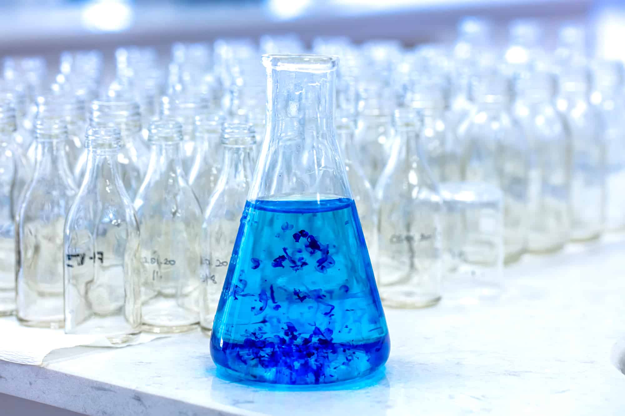 What Is The Purpose Of Methylene Blue 