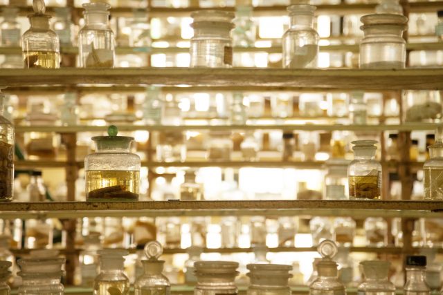 What Is Formaldehyde? | The Chemistry Blog