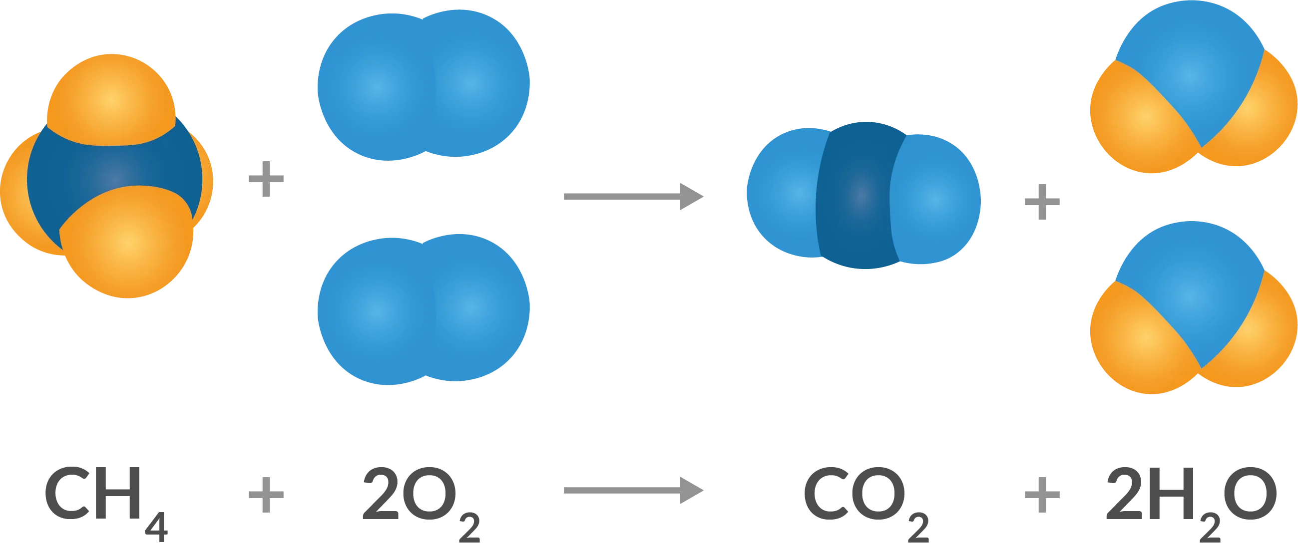 Combustion Reaction Examples Combustion Reaction Ppt By Science