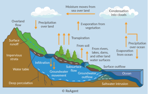 What Is Condensation? - The Chemistry Blog