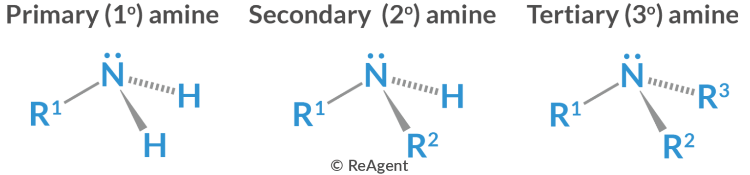 A Level Organic Chemistry - Amines | The Chemistry Blog