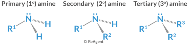 A Level Organic Chemistry - Amines | The Chemistry Blog