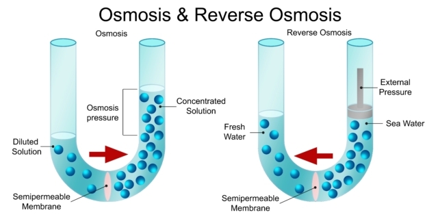 How Reverse Osmosis Works | The Chemistry Blog